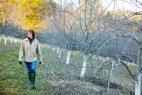 Five Finds on Friday: Diane Flynt | The Charlottesville 29